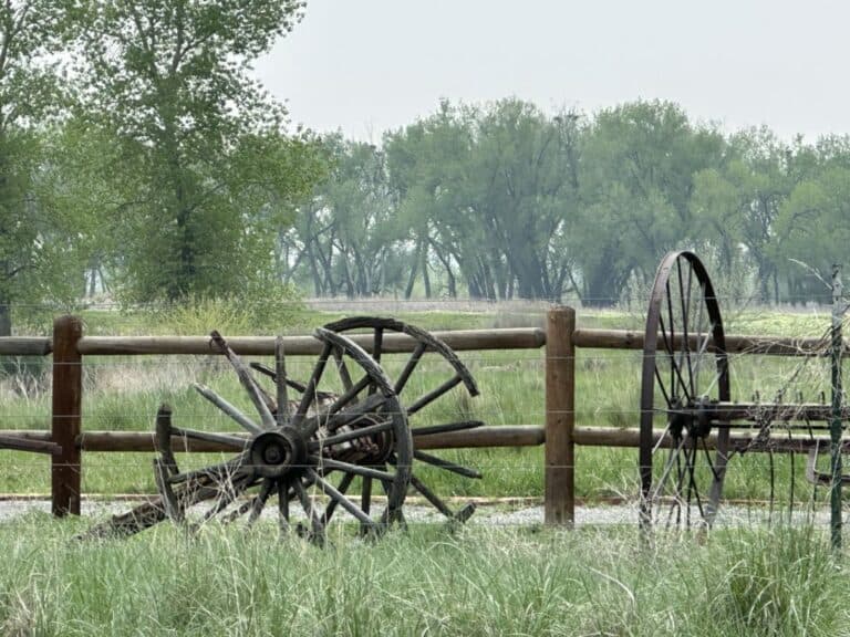 Gunbarrel, Colorado: Suburban Tranquility Meets Innovation - Colorado ...